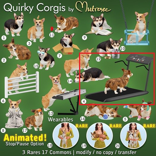 Second Life Marketplace - 04-Mutresse-Quirky Corgis